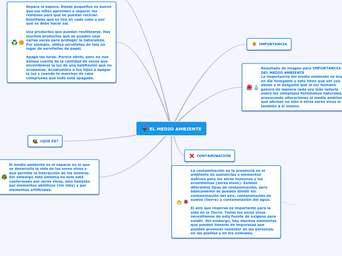EL MEDIO AMBIENTE - Mind Map